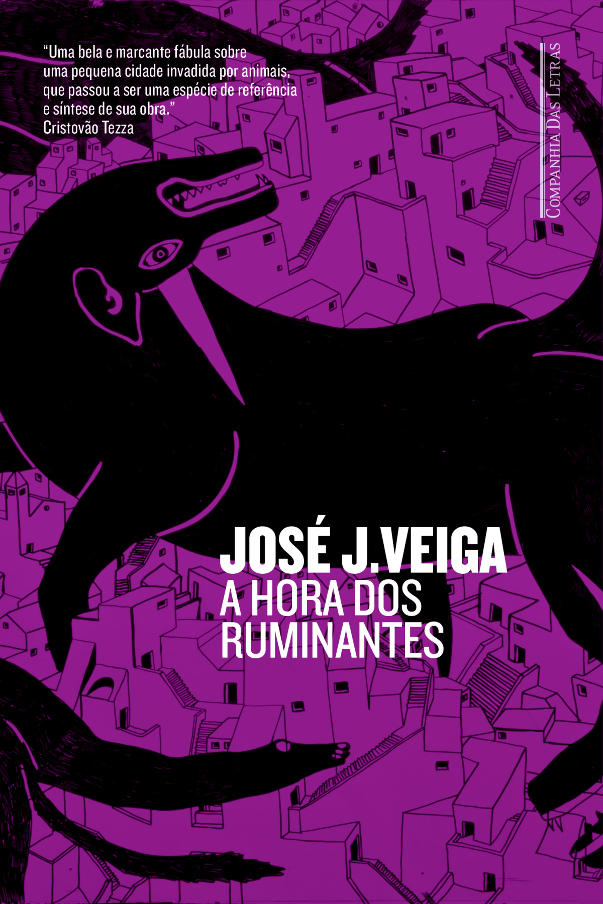 josé j. veiga collection - Projetos - Kiko Farkas