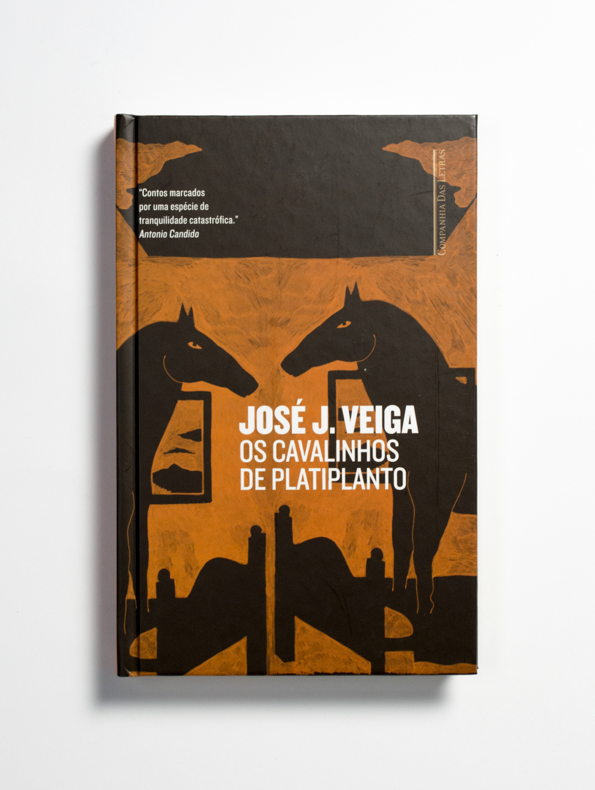 coleção josé j. veiga - Projetos - Kiko Farkas