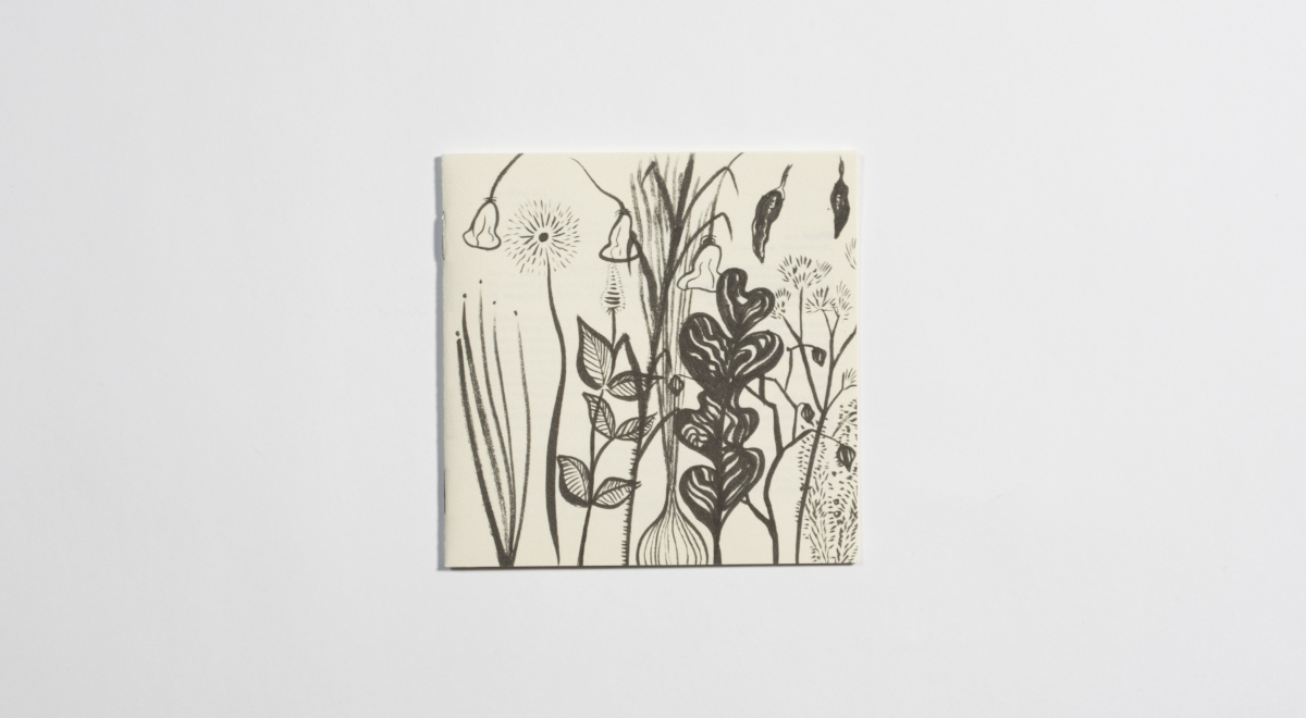 Joel canções - Projetos - Kiko Farkas